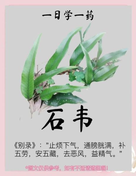 利尿最快的偏方_真的有用吗-第1张图片-山城妙识