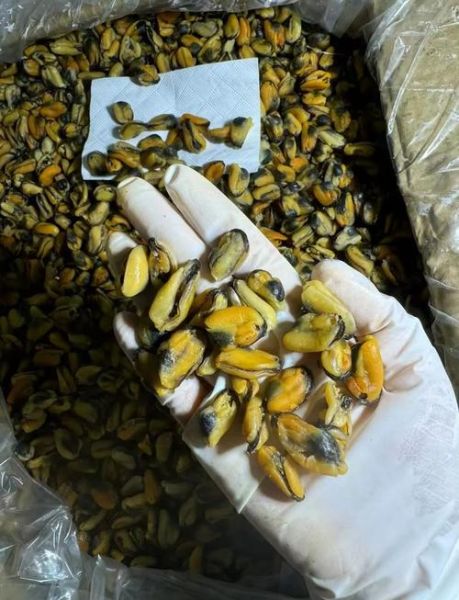 淡菜干的功效与作用_淡菜干怎么吃最营养-第1张图片-山城妙识 淡菜干的功效与作用_淡菜干怎么吃最营养-第1张图片-山城妙识