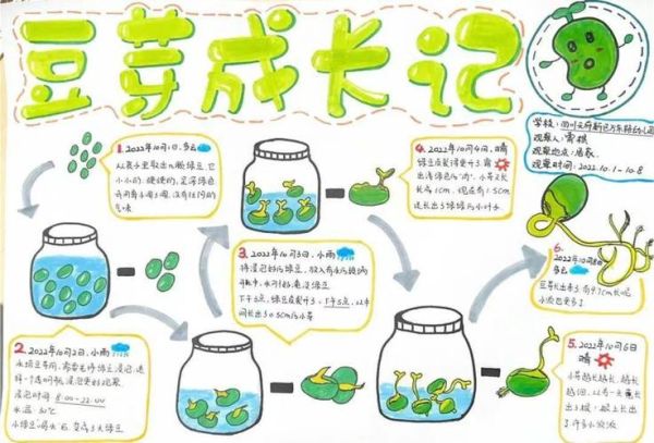 黄豆发芽需要几天_黄豆发芽全过程记录-第1张图片-山城妙识 黄豆发芽需要几天_黄豆发芽全过程记录-第1张图片-山城妙识