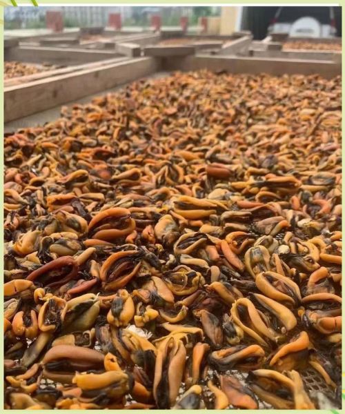 淡菜干的功效与作用_淡菜干怎么吃最营养-第3张图片-山城妙识 淡菜干的功效与作用_淡菜干怎么吃最营养-第3张图片-山城妙识