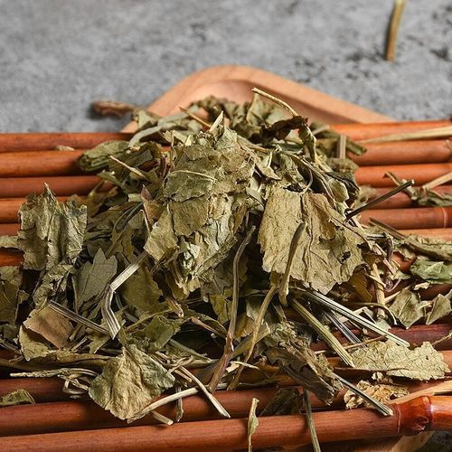 三七叶子泡水喝的功效_三七叶子泡水喝的禁忌-第3张图片-山城妙识 三七叶子泡水喝的功效_三七叶子泡水喝的禁忌-第3张图片-山城妙识