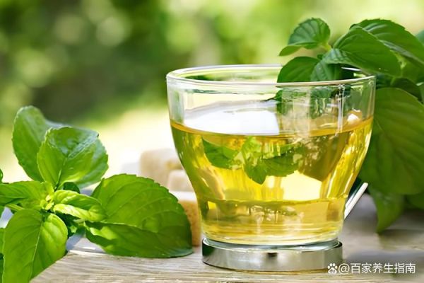 薄荷茶的功效与作用_薄荷茶有哪些禁忌症-第3张图片-山城妙识