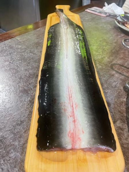 鳗鱼怎么杀_鳗鱼宰杀后如何处理-第2张图片-山城妙识