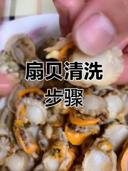 扇贝怎么清洗_新鲜扇贝怎么保存-第1张图片-山城妙识