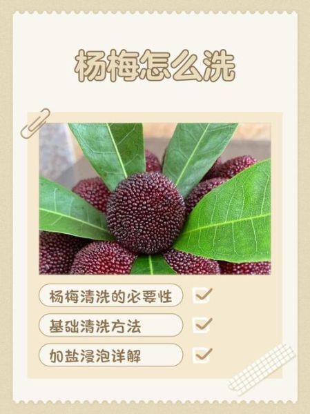 杨梅虫子能吃吗_怎么清洗杨梅才干净-第3张图片-山城妙识