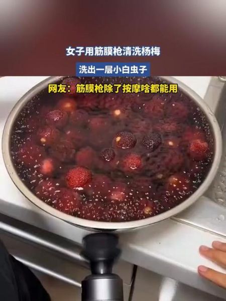 杨梅虫子能吃吗_怎么清洗杨梅才干净-第2张图片-山城妙识