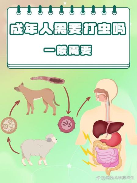 绦虫会传染人吗_感染途径有哪些-第2张图片-山城妙识