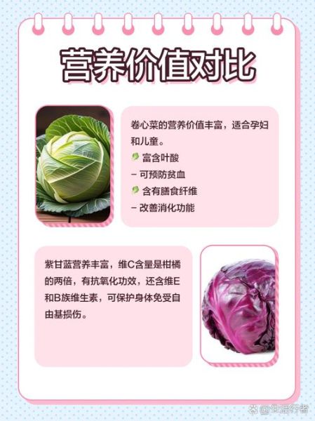 大头菜是什么_大头菜和卷心菜区别-第2张图片-山城妙识