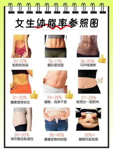 女性燃脂最佳时间_早晨还是晚上-第3张图片-山城妙识