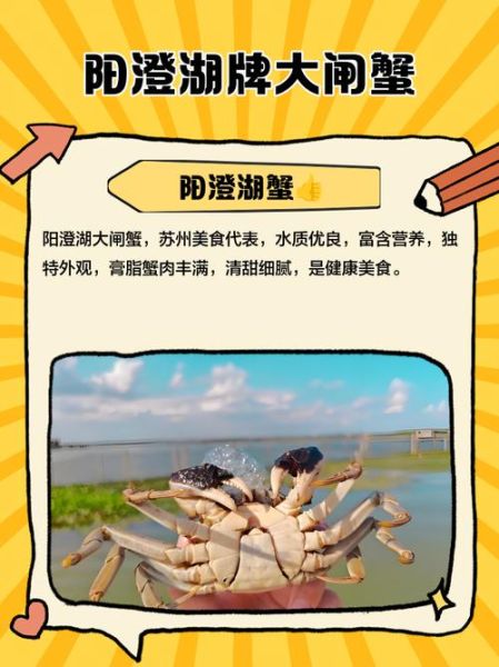 阳澄湖大闸蟹品牌排名_哪个牌子最正宗-第3张图片-山城妙识