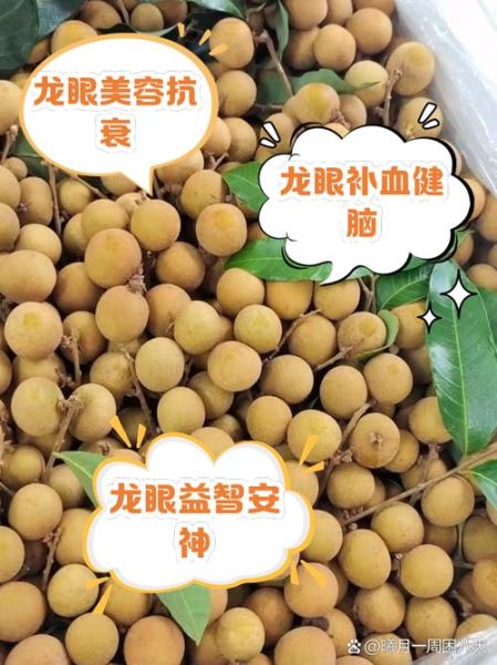 龙眼上火吗_龙眼的功效与作用-第1张图片-山城妙识 龙眼上火吗_龙眼的功效与作用-第1张图片-山城妙识