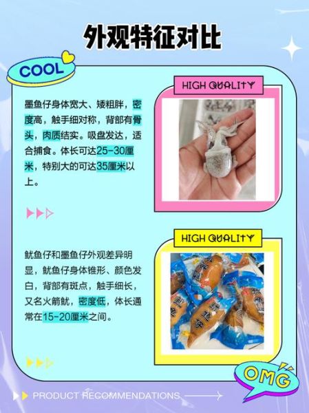 小鱿鱼叫什么_小鱿鱼和鱿鱼仔的区别-第1张图片-山城妙识