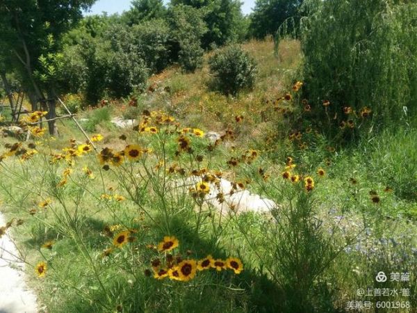 青苹果乐园在哪里_青苹果乐园门票价格-第2张图片-山城妙识