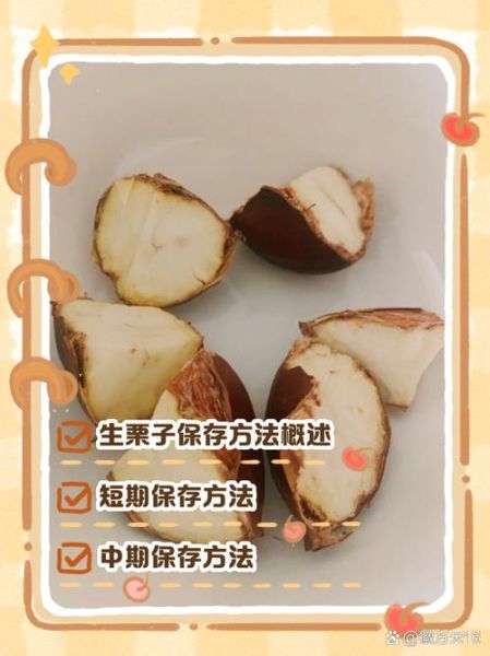 新鲜板栗怎么保存_板栗放冰箱能放多久-第1张图片-山城妙识 新鲜板栗怎么保存_板栗放冰箱能放多久-第1张图片-山城妙识