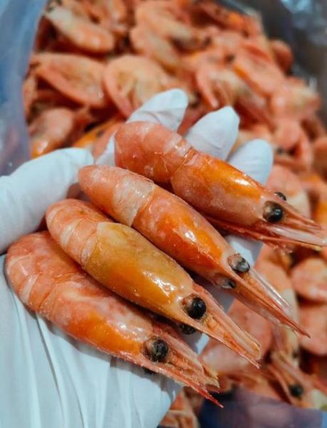 北极虾籽能吃吗_北极虾籽怎么吃-第1张图片-山城妙识