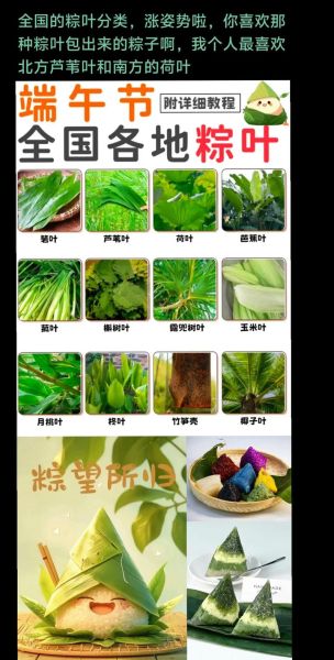 粽叶有几种_粽叶品种大全-第1张图片-山城妙识 粽叶有几种_粽叶品种大全-第1张图片-山城妙识