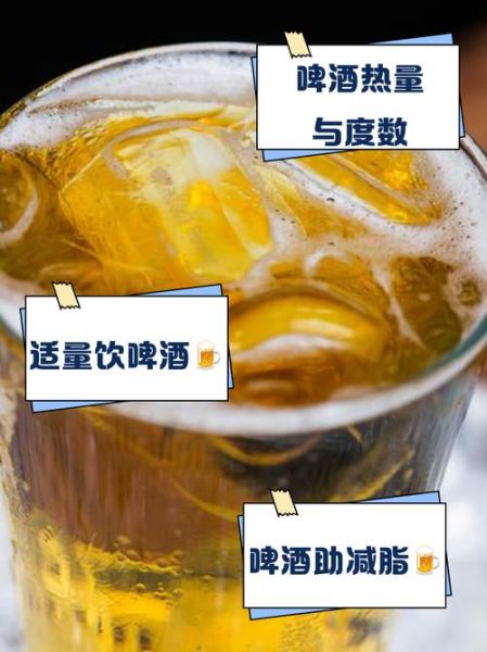 一瓶啤酒热量是多少_减肥能喝吗-第3张图片-山城妙识 一瓶啤酒热量是多少_减肥能喝吗-第3张图片-山城妙识