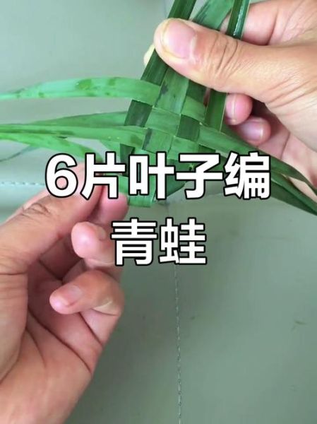 棕榈叶怎么编_棕榈叶编织教程-第1张图片-山城妙识 棕榈叶怎么编_棕榈叶编织教程-第1张图片-山城妙识