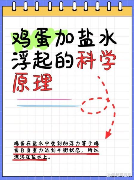 盐水鸡蛋浮水原理_鸡蛋在盐水中浮起来的原因-第1张图片-山城妙识