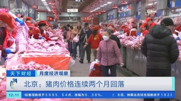 猪肉价格为什么连续回落_近期猪肉价格走势如何-第1张图片-山城妙识