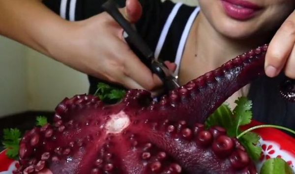 章鱼直播体育怎么看_章鱼直播体育免费吗-第3张图片-山城妙识