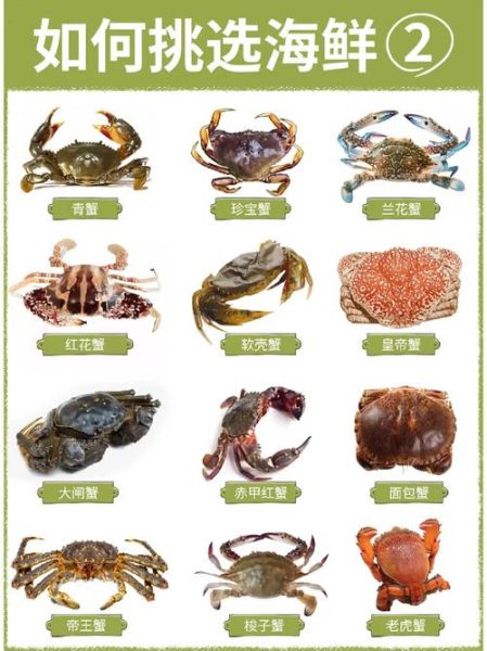 河蟹吃什么_河蟹食物清单-第2张图片-山城妙识