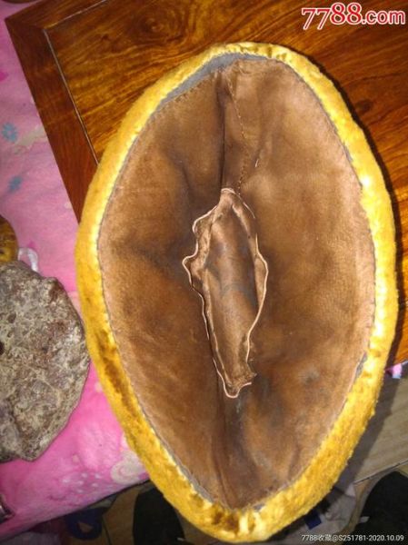 海龙帽子怎么选_海龙帽子多少钱-第2张图片-山城妙识