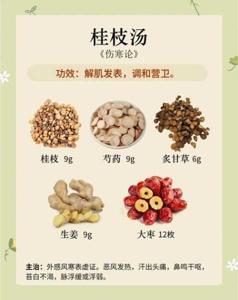 桂枝汤的功效与作用_桂枝汤的禁忌有哪些-第1张图片-山城妙识 桂枝汤的功效与作用_桂枝汤的禁忌有哪些-第1张图片-山城妙识