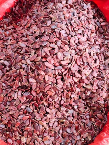 红瓜子是什么瓜的子_红瓜子产地在哪里-第1张图片-山城妙识 红瓜子是什么瓜的子_红瓜子产地在哪里-第1张图片-山城妙识