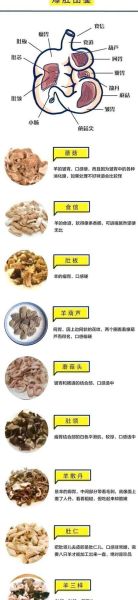 北京爆肚怎么做_正宗爆肚做法详解-第3张图片-山城妙识 北京爆肚怎么做_正宗爆肚做法详解-第3张图片-山城妙识