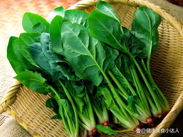 补铁的蔬菜有哪些_哪些蔬菜含铁量高-第3张图片-山城妙识 补铁的蔬菜有哪些_哪些蔬菜含铁量高-第3张图片-山城妙识
