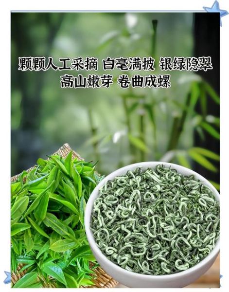 碧螺春原产地哪里_正宗碧螺春产地是哪里-第3张图片-山城妙识 碧螺春原产地哪里_正宗碧螺春产地是哪里-第3张图片-山城妙识