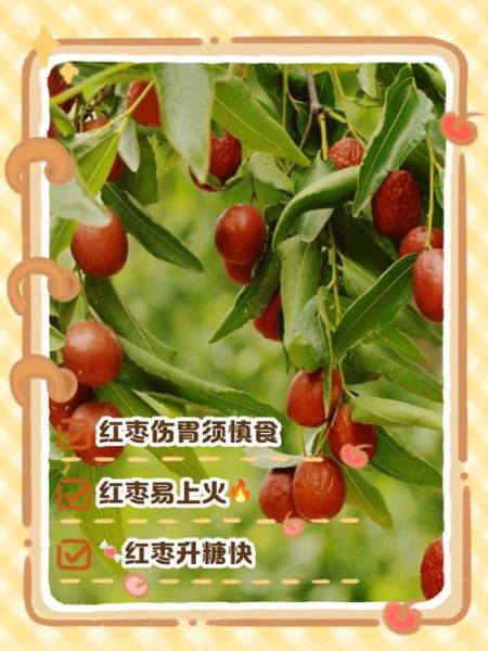 男人经常吃红枣坏处_男人吃红枣会上火吗-第2张图片-山城妙识