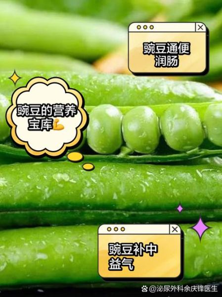 豌豆的营养价值_豌豆怎么吃最健康-第3张图片-山城妙识