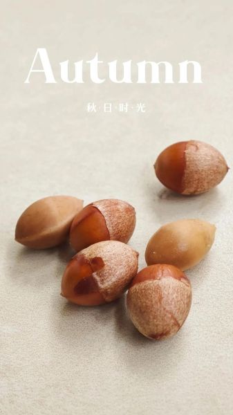 新鲜银杏果怎么去皮_银杏果去皮最简单的方法-第3张图片-山城妙识 新鲜银杏果怎么去皮_银杏果去皮最简单的方法-第3张图片-山城妙识