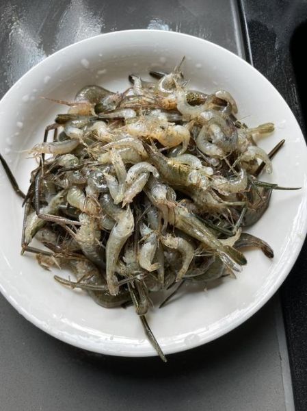 河虾图片高清_如何拍摄河虾高清图片-第1张图片-山城妙识