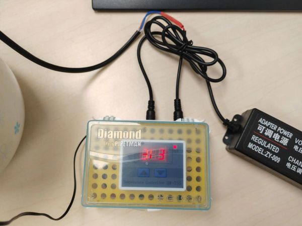 酸奶机自制酸奶的做法_家用酸奶机做酸奶比例是多少-第1张图片-山城妙识 酸奶机自制酸奶的做法_家用酸奶机做酸奶比例是多少-第1张图片-山城妙识