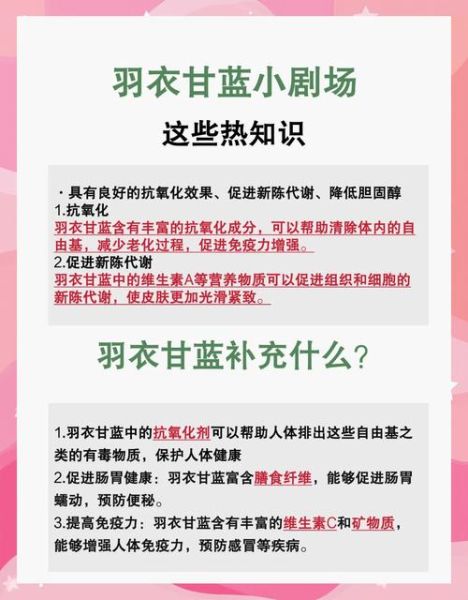 甘蓝菜的功效与作用及禁忌_什么人不能吃甘蓝菜-第1张图片-山城妙识