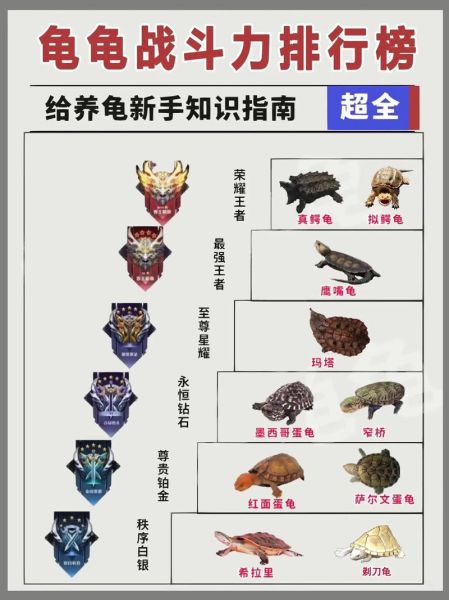 鳄龟为什么不能养_国家禁令原因-第2张图片-山城妙识