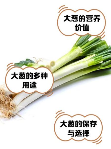 大葱的功效与作用_大葱的营养价值有哪些-第1张图片-山城妙识