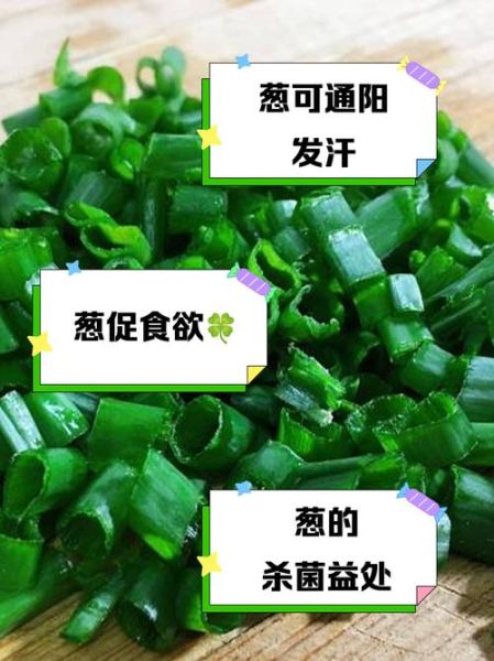 大葱的功效与作用_大葱的营养价值有哪些-第3张图片-山城妙识