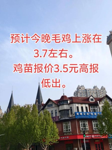 肉鸡价格今日多少钱一斤_肉鸡行情还会涨吗-第1张图片-山城妙识 肉鸡价格今日多少钱一斤_肉鸡行情还会涨吗-第1张图片-山城妙识