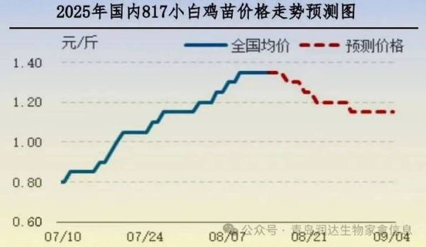 肉鸡价格今日多少钱一斤_肉鸡行情还会涨吗-第3张图片-山城妙识 肉鸡价格今日多少钱一斤_肉鸡行情还会涨吗-第3张图片-山城妙识
