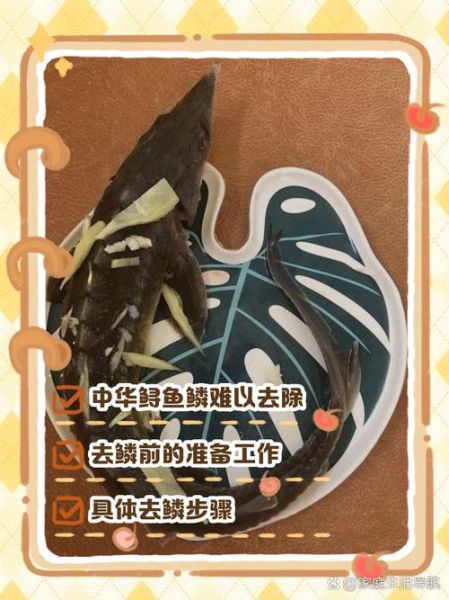 中华鲟怎么去鳞_中华鲟去鳞最简单的方法-第1张图片-山城妙识 中华鲟怎么去鳞_中华鲟去鳞最简单的方法-第1张图片-山城妙识