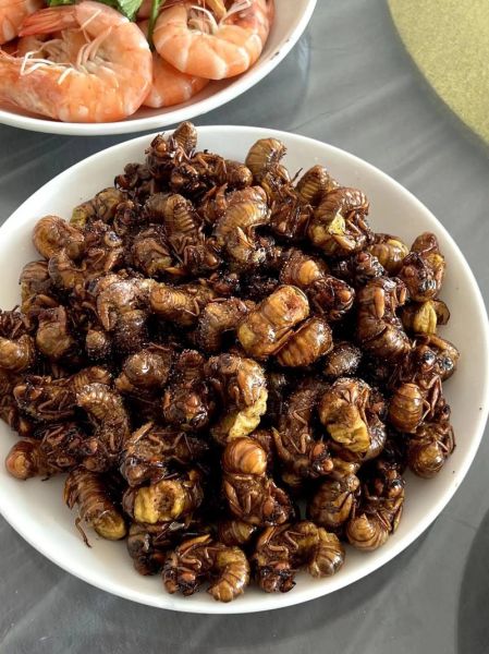 知了怎么吃有营养价值_知了怎么吃最补-第3张图片-山城妙识