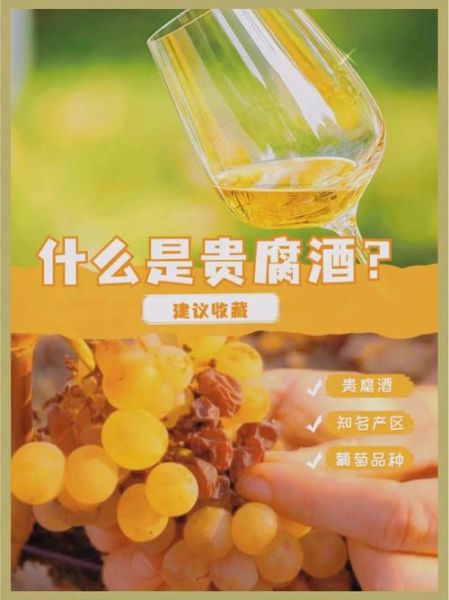 贵腐葡萄酒价格_贵腐酒为什么这么贵-第3张图片-山城妙识