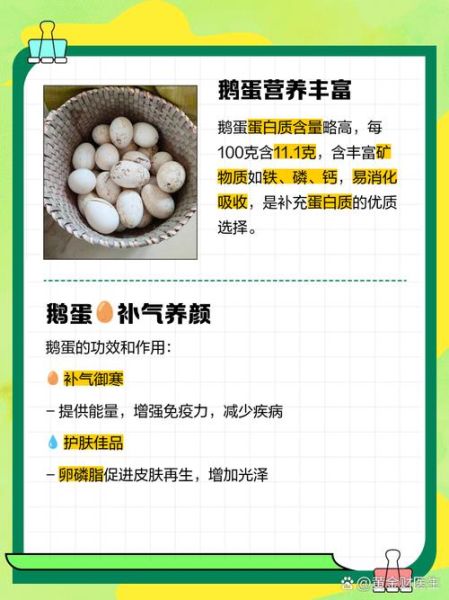 鹅蛋的营养价值_鹅蛋的功效与作用-第3张图片-山城妙识