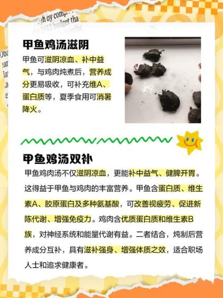 女人喝甲鱼汤的功效_女人喝甲鱼汤有哪些好处-第2张图片-山城妙识