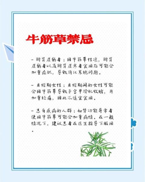 牛筋草泡水喝的功效与作用_牛筋草泡水喝的禁忌-第1张图片-山城妙识
