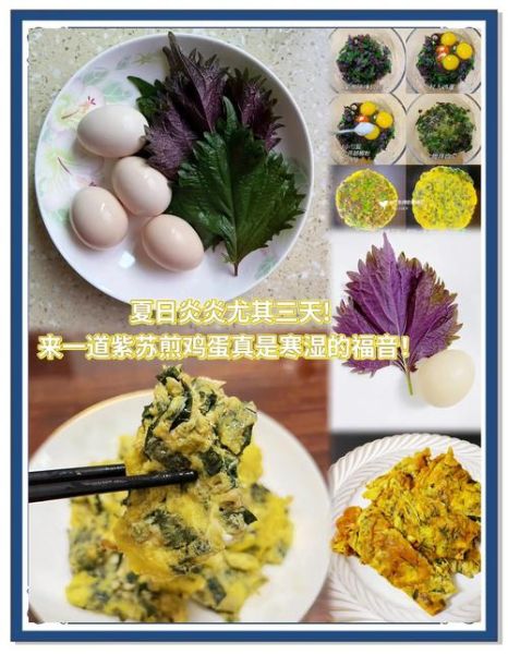 紫苏炒鸡蛋怎么做_紫苏叶炒鸡蛋的做法窍门-第1张图片-山城妙识 紫苏炒鸡蛋怎么做_紫苏叶炒鸡蛋的做法窍门-第1张图片-山城妙识